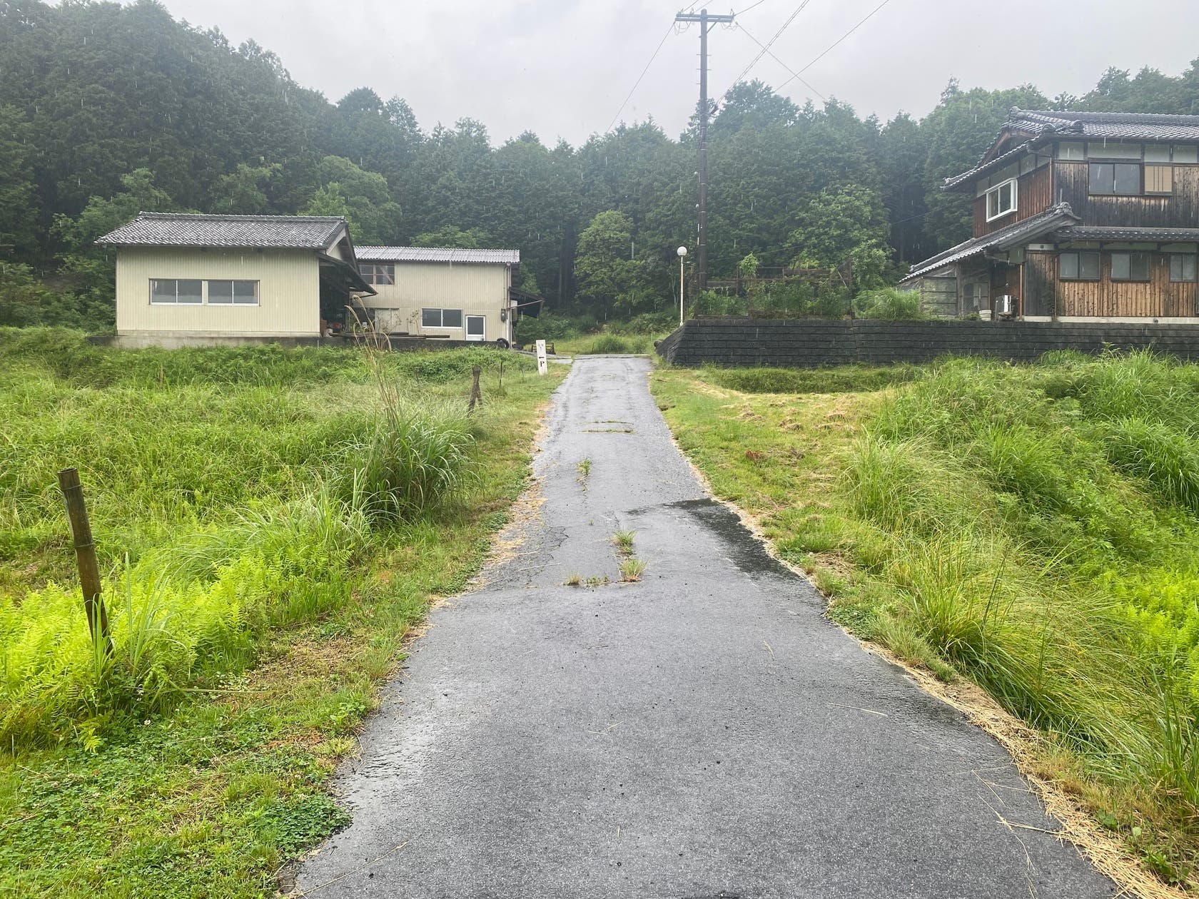 自然豊かな場所で様々な体験ができる場所ですの写真14