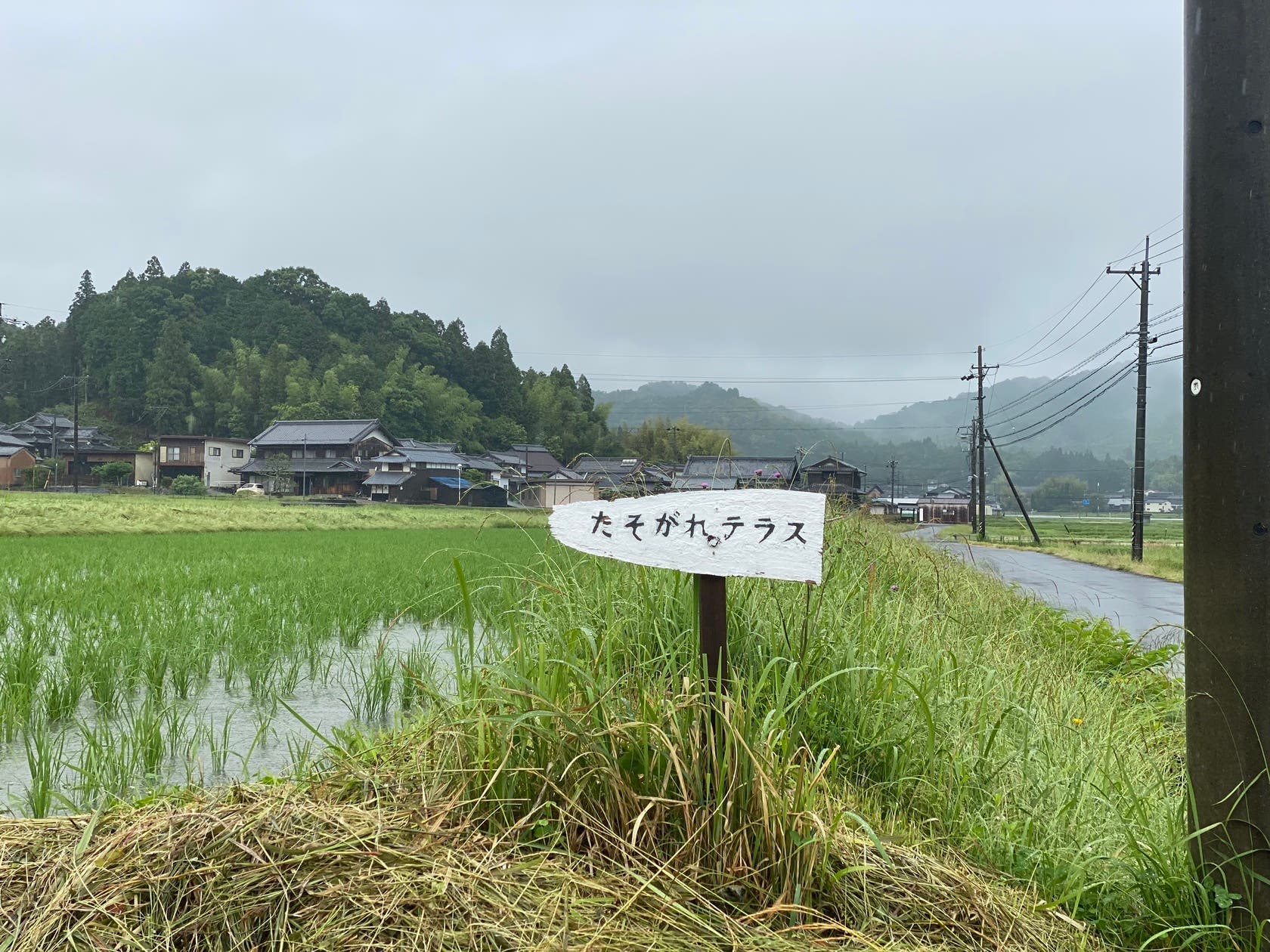 自然豊かな場所で様々な体験ができる場所ですの写真15