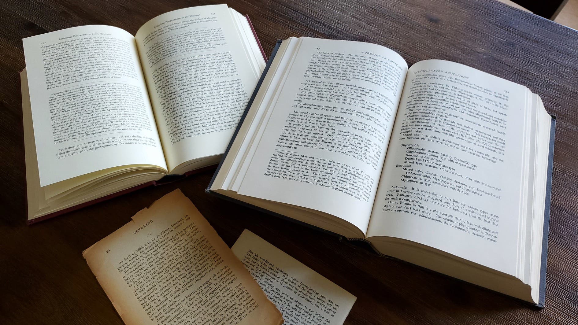 ヴィンテージ 洋書の画像2