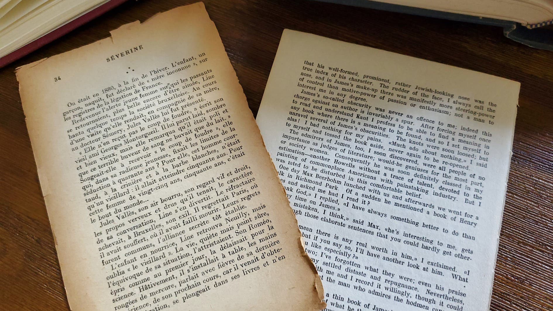 ヴィンテージ 洋書の画像4