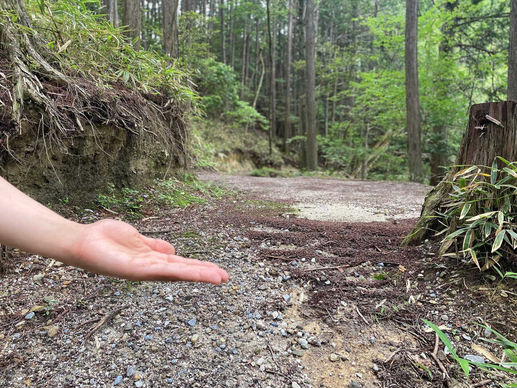 自然豊かな場所で様々な体験ができる場所ですの写真17