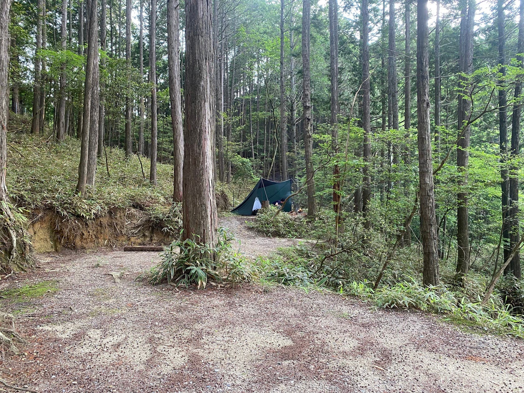 自然豊かな場所で様々な体験ができる場所ですの写真18