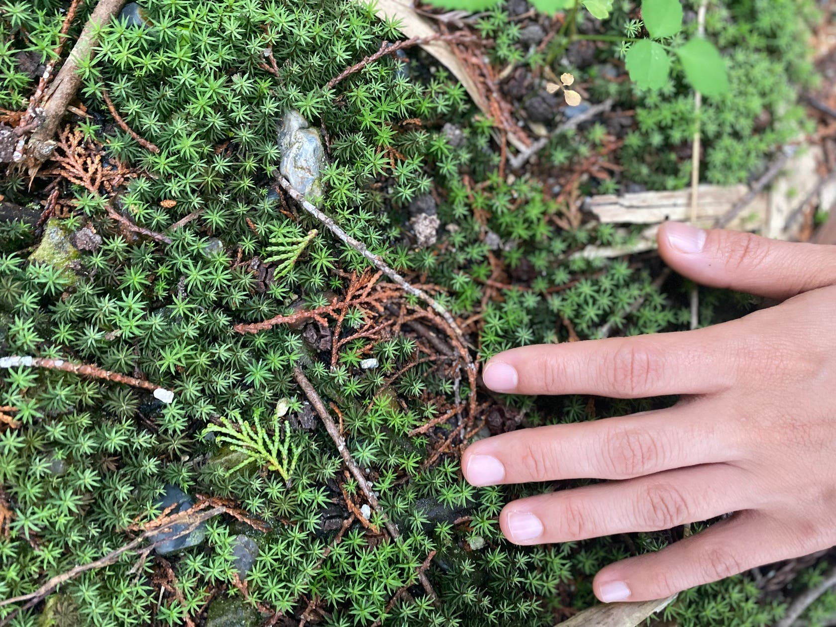 自然豊かな場所で様々な体験ができる場所ですの写真19