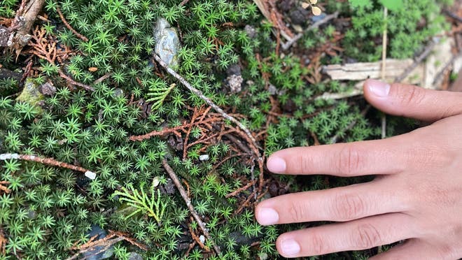 自然豊かな場所で様々な体験ができる場所ですの写真19