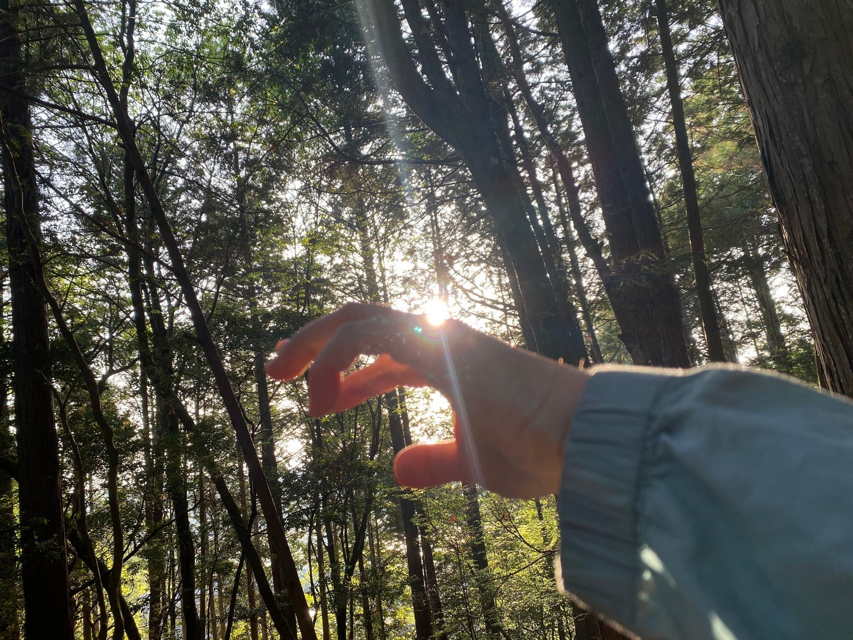 自然豊かな場所で様々な体験ができる場所ですの写真22