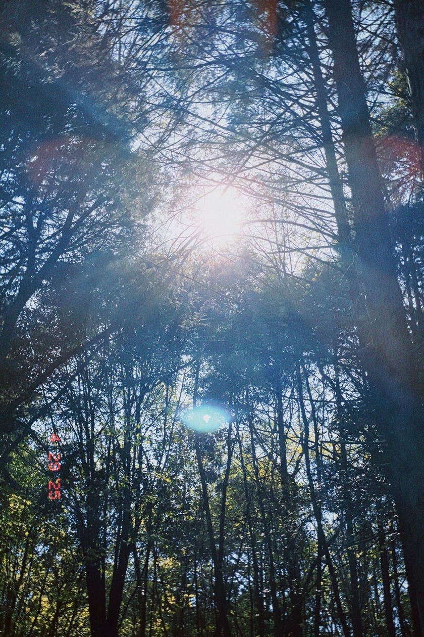 自然豊かな場所で様々な体験ができる場所ですの写真24