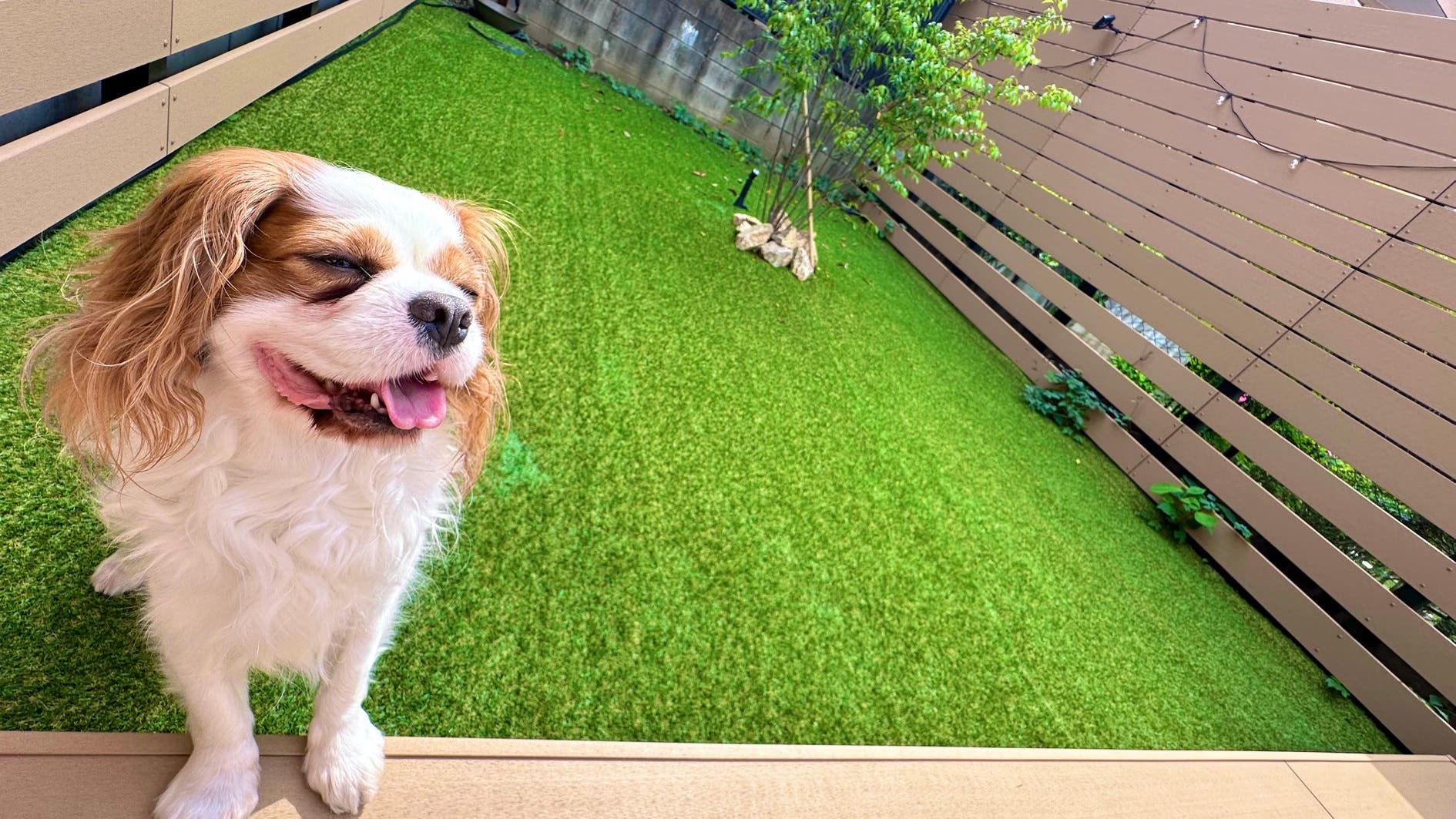 《新築戸建１階🏠庭🪴屋上テラス🌟貸切‼️》パーティー🎉女子会🥂撮影🎥BBQ🍖ドッグラン🐶クリスマス🎄の写真29