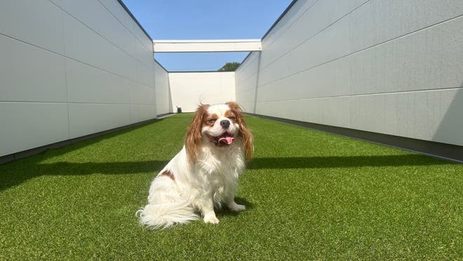 《新築戸建1階🏠庭🪴屋上テラス🌟貸切‼️》パーティー🎉女子会🥂撮影🎥BBQ🍖ドッグラン🐶クリスマス🎄の写真28