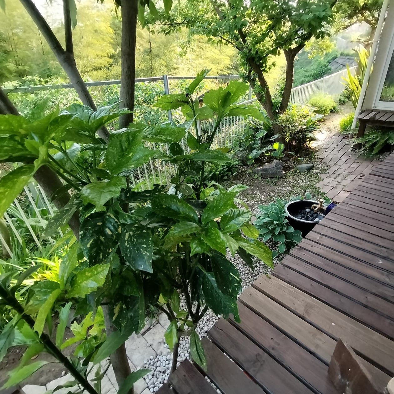 自宅エステにおすすめ！自然に囲まれたレンタルスペース 　疲れた心や身体を癒すリトリート空間としてもおすすめの写真7