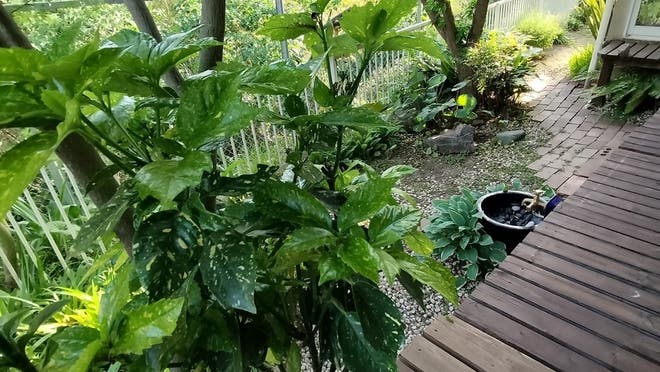 自宅エステにおすすめ!自然に囲まれたレンタルスペース 疲れた心や身体を癒すリトリート空間としてもおすすめの写真7