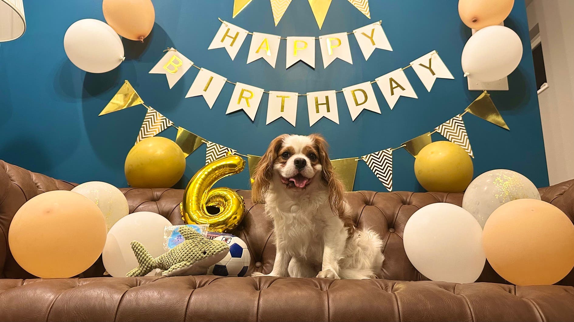 《新築戸建１階🏠庭🪴屋上テラス🌟貸切‼️》パーティー🎉女子会🥂撮影🎥BBQ🍖ドッグラン🐶クリスマス🎄の写真27