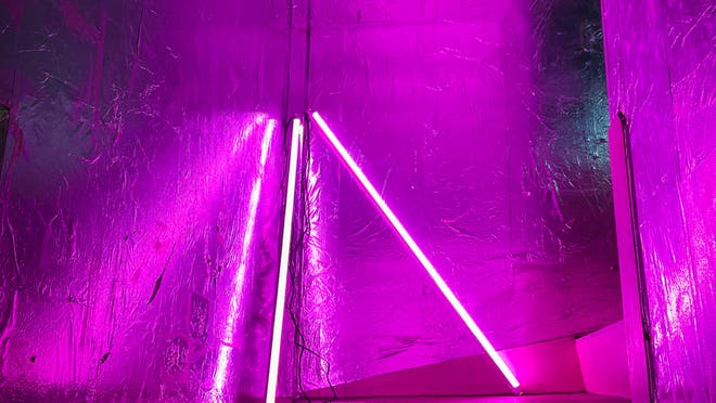 近未来的などこか退廃的な世界観が形成された撮影スタジオ 250㎡ | 雑色駅徒歩15分 | #廃墟#アパレル#ハウススタジオの写真15