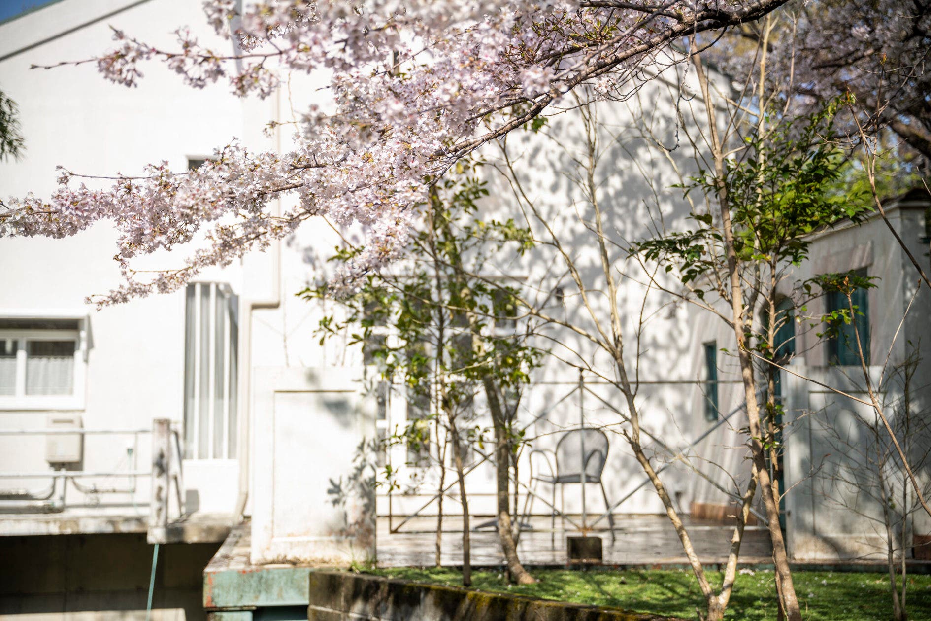 【都心から90分】自然光×高天井×260㎡｜ロケバスOKの大型撮影ハウススタジオの写真25