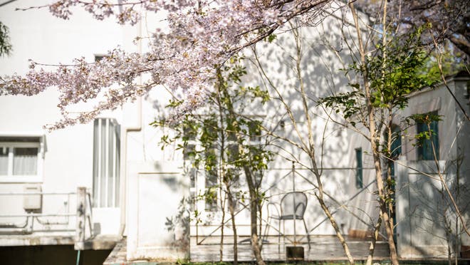 【都心から90分】自然光×高天井×260㎡|ロケバスOKの大型撮影ハウススタジオの写真25