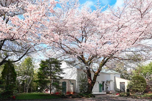 【都心から90分】自然光×高天井×260㎡｜ロケバスOKの大型撮影ハウススタジオの写真24