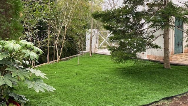 【都心から90分】自然光×高天井×260㎡|ロケバスOKの大型撮影ハウススタジオの写真26