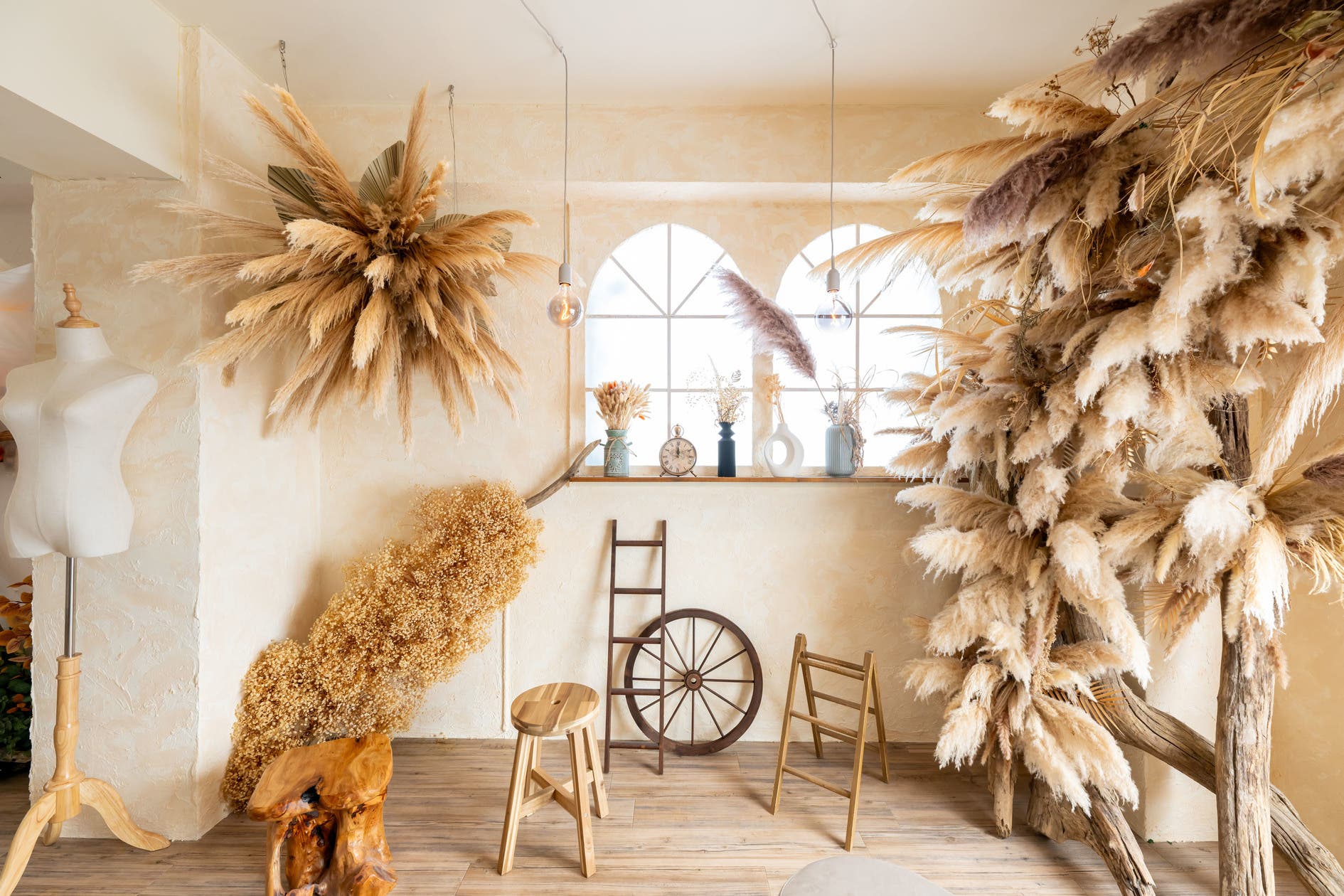 【2024ベストホスト運営】🍁リニューアル🍁 超巨大ドライフラワー｜砂浜｜自然光｜ペット撮影可｜機材無料の写真7