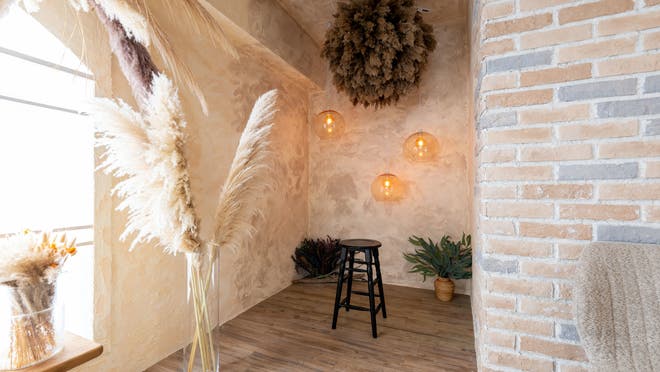 【2024ベストホスト運営】🍁リニューアル🍁 超巨大ドライフラワー|砂浜|自然光|ペット撮影可|機材無料の写真17