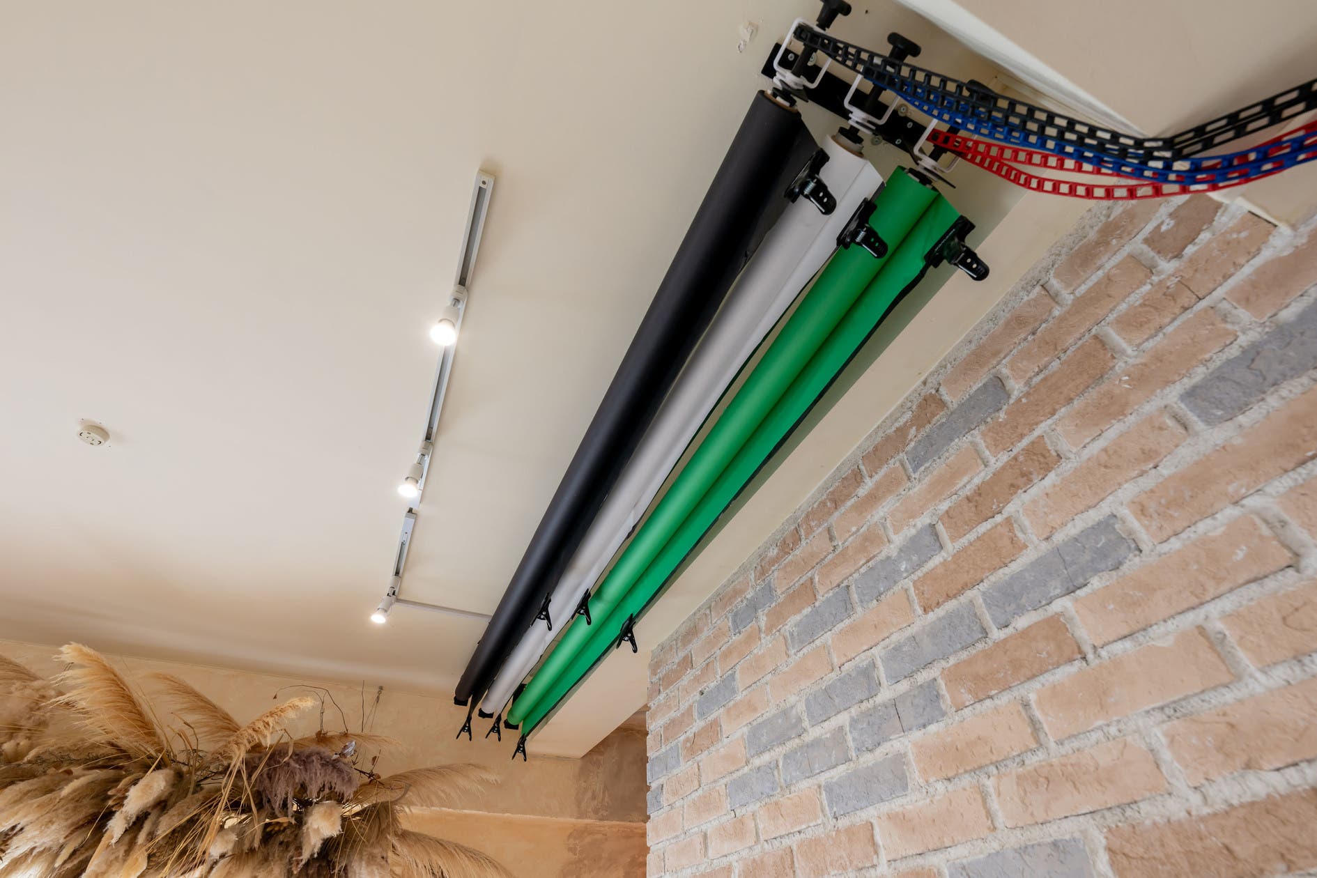 【2024ベストホスト運営】🍁リニューアル🍁 超巨大ドライフラワー｜砂浜｜自然光｜ペット撮影可｜機材無料の写真16