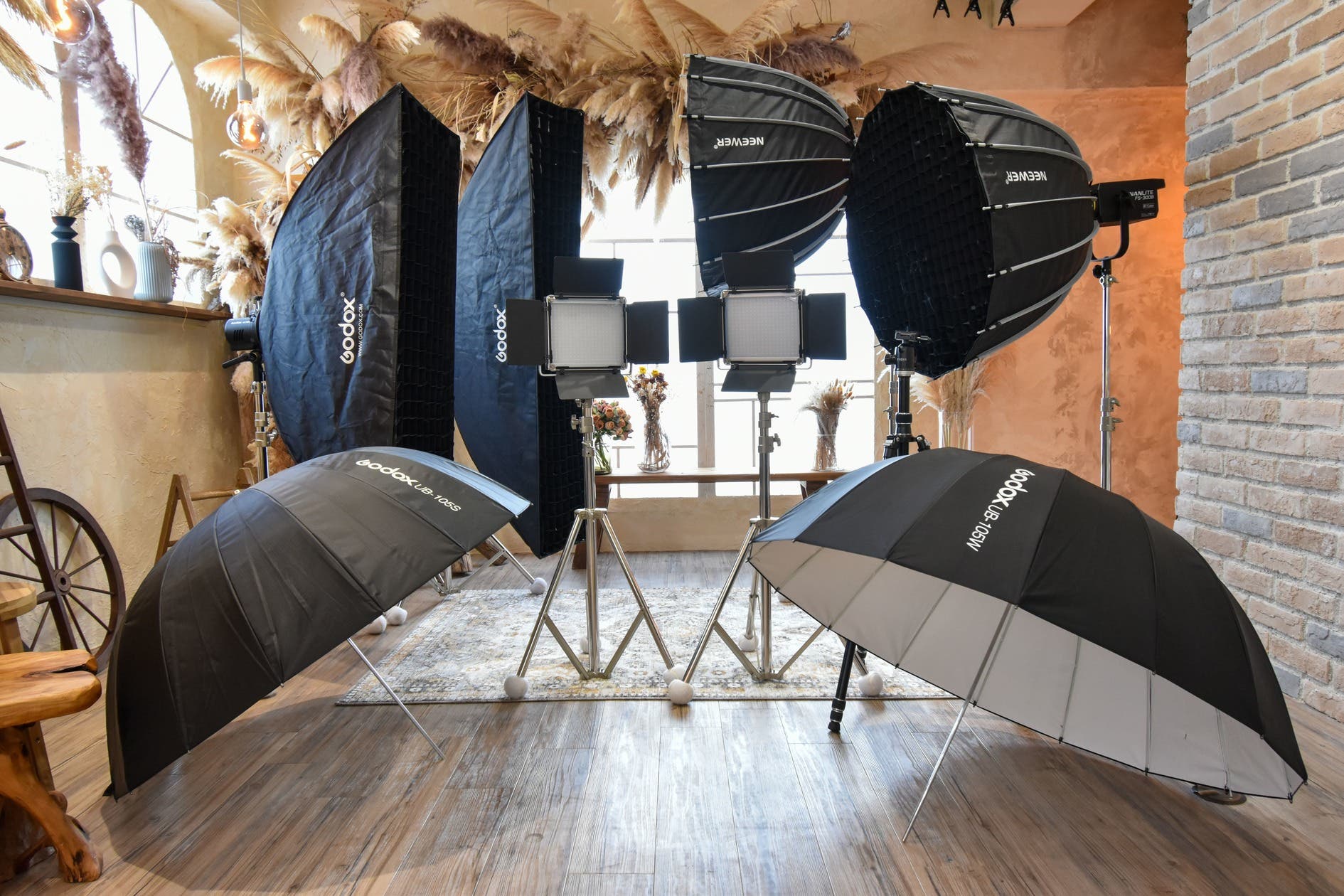 【2024ベストホスト運営】🍁リニューアル🍁 超巨大ドライフラワー｜砂浜｜自然光｜ペット撮影可｜機材無料の写真25