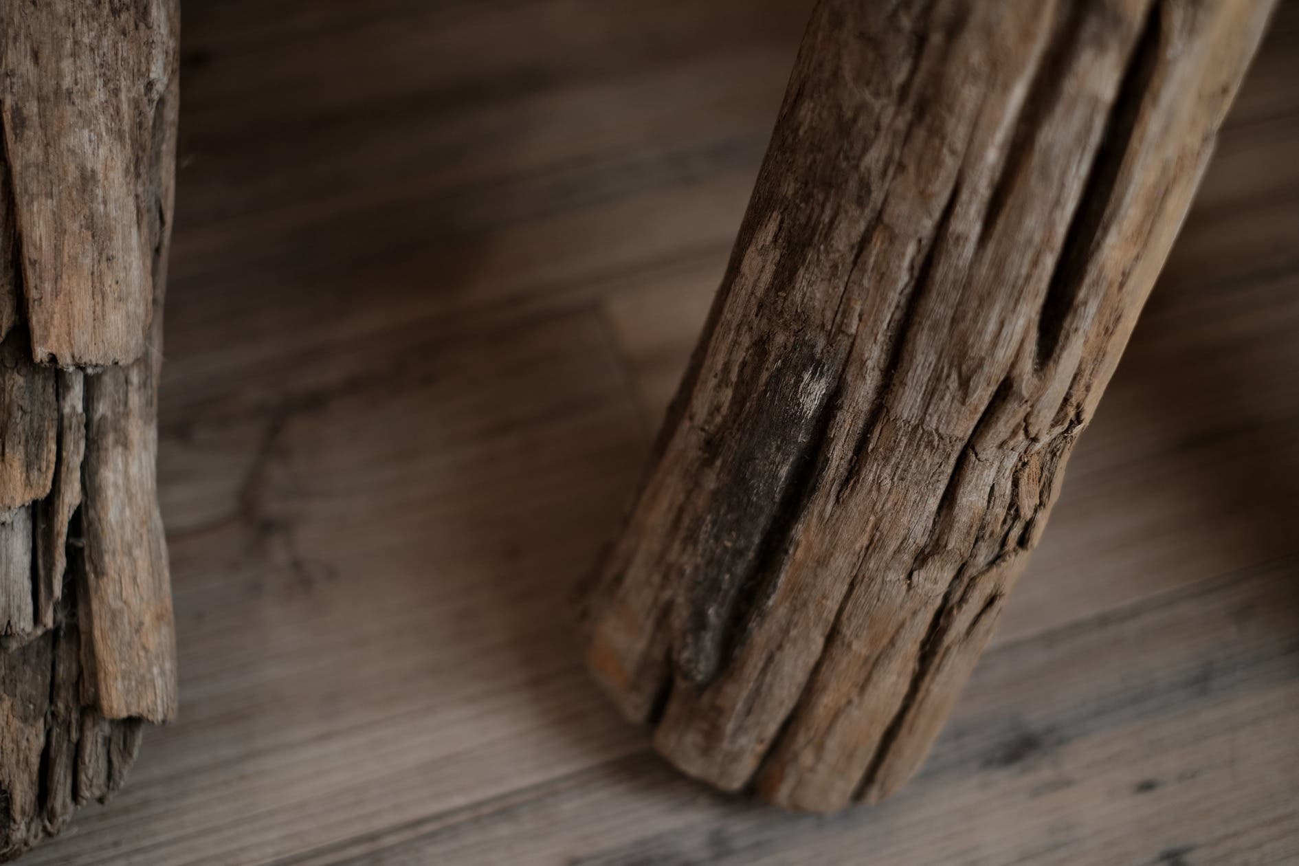 【2024ベストホスト運営】🍁リニューアル🍁 超巨大ドライフラワー｜砂浜｜自然光｜ペット撮影可｜機材無料の写真20