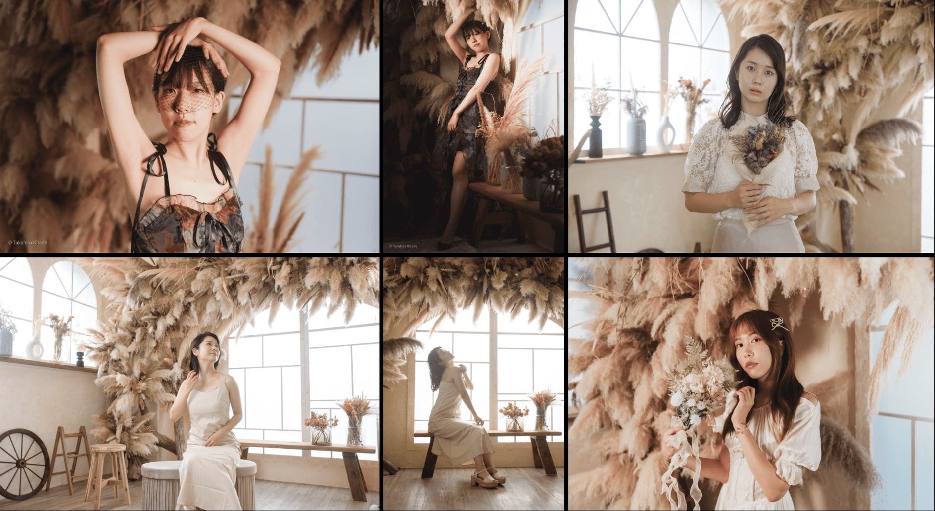 【2024ベストホスト運営】🍁リニューアル🍁 超巨大ドライフラワー｜砂浜｜自然光｜ペット撮影可｜機材無料の写真13