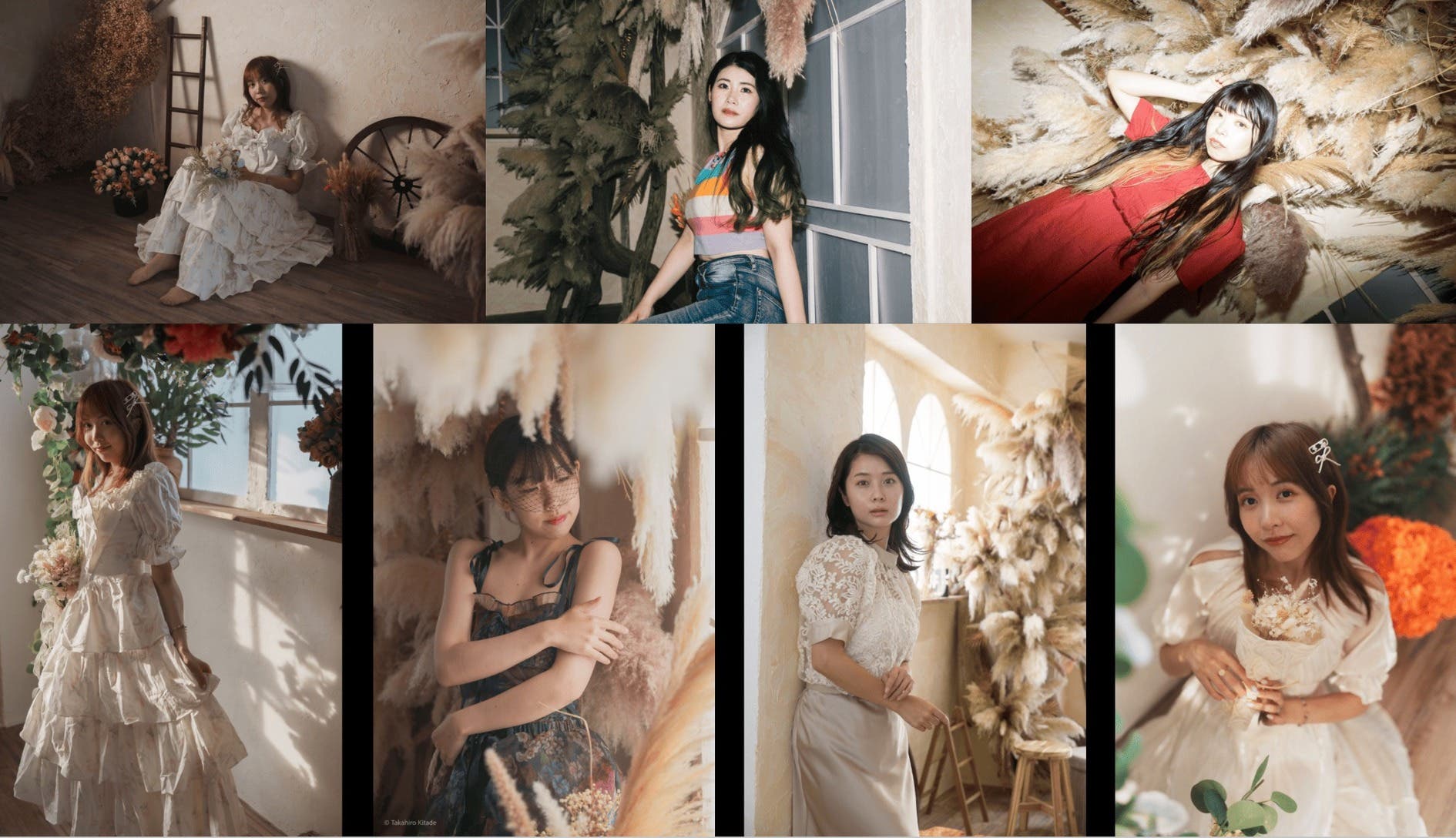 【2024ベストホスト運営】🍁リニューアル🍁 超巨大ドライフラワー｜砂浜｜自然光｜ペット撮影可｜機材無料の写真21