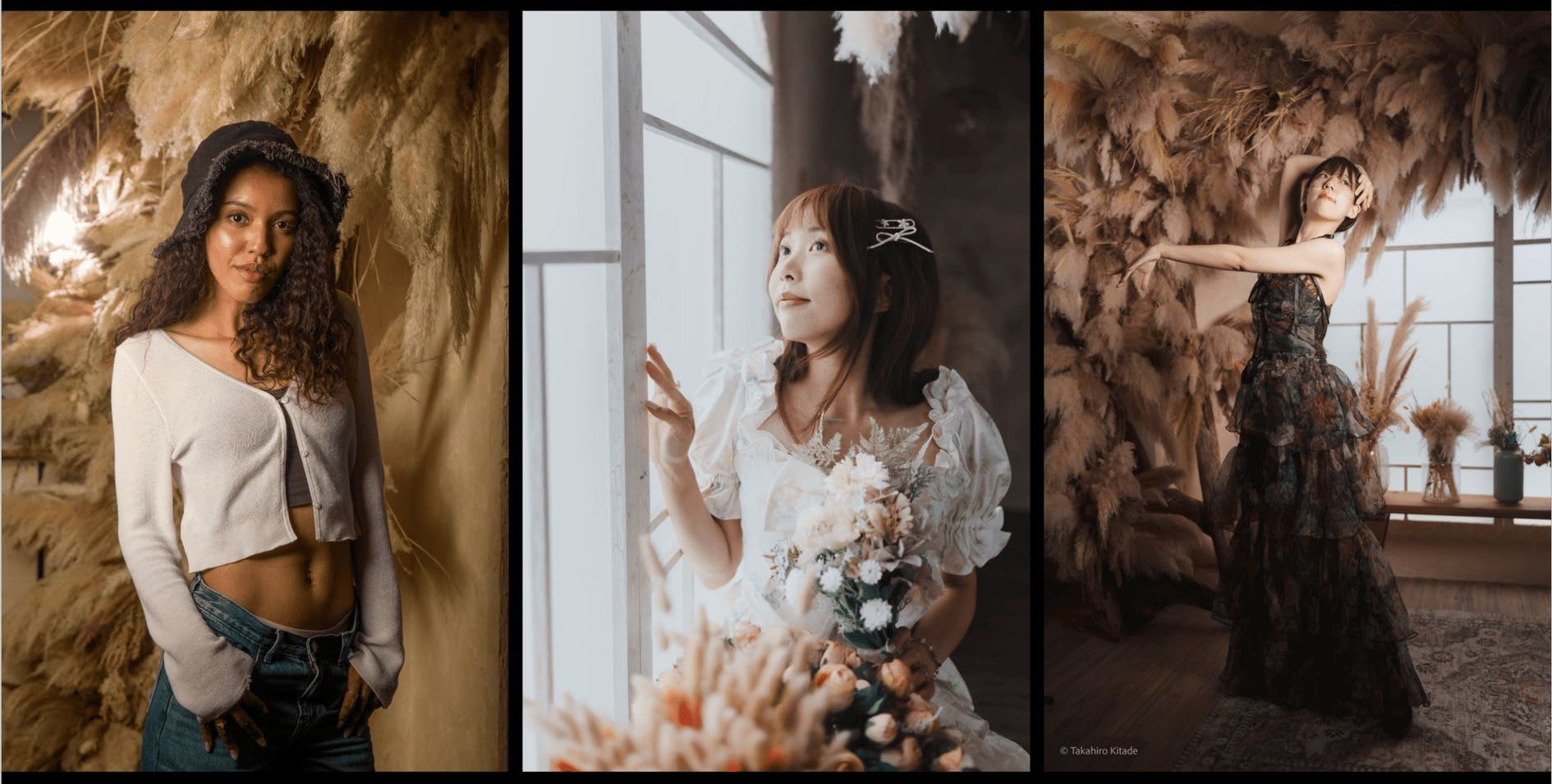 【2024ベストホスト運営】🍁リニューアル🍁 超巨大ドライフラワー｜砂浜｜自然光｜ペット撮影可｜機材無料の写真4