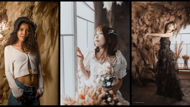 【2024ベストホスト運営】🍁リニューアル🍁 超巨大ドライフラワー|砂浜|自然光|ペット撮影可|機材無料の写真4