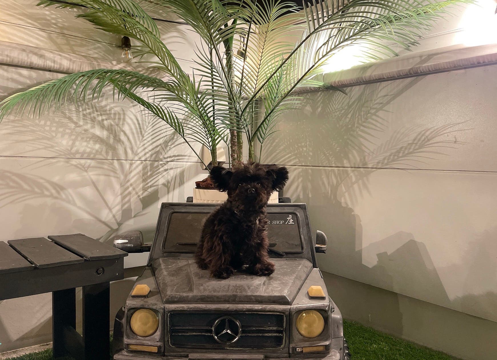 冬・雨でも大丈夫！炬燵、ヒーター完備の完全プライベートな屋上！の写真22