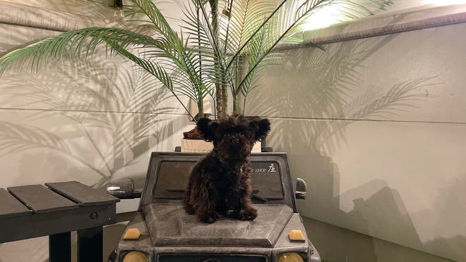 冬・雨でも大丈夫!炬燵、ヒーター完備の完全プライベートな屋上!の写真22