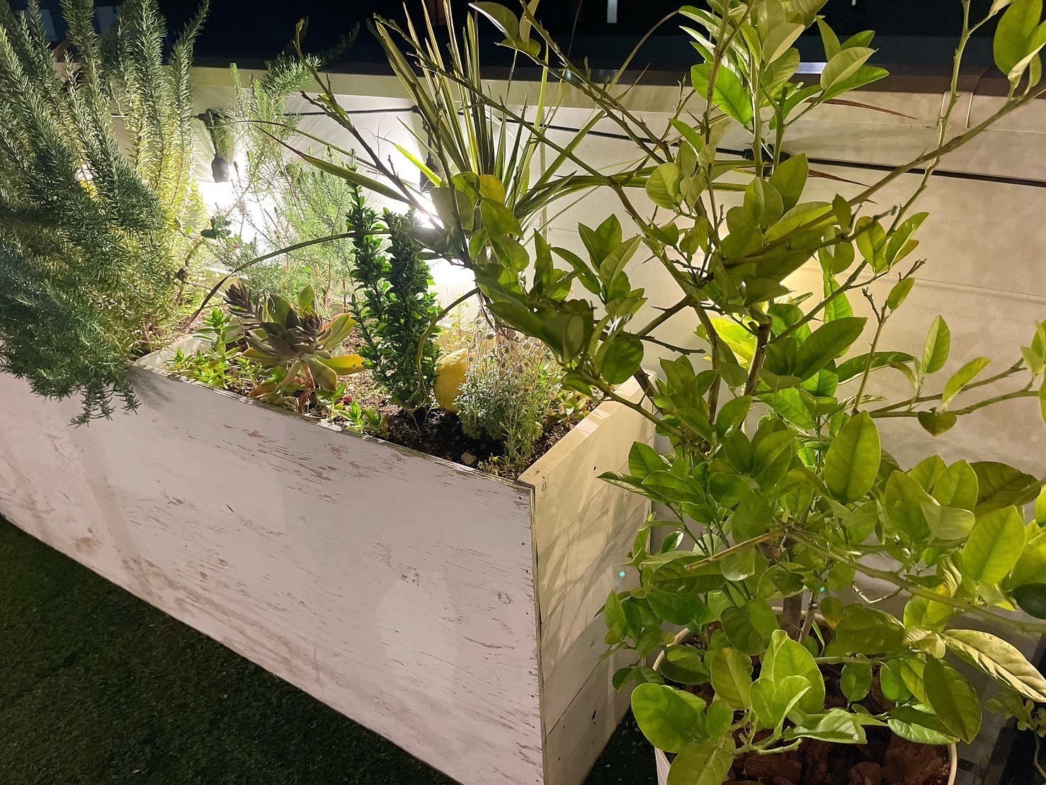 冬・雨でも大丈夫！炬燵、ヒーター完備の完全プライベートな屋上！の写真27