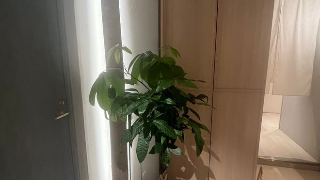 ⭐︎代々木上原駅1分⭐︎女性専用ピラティススタジオ|即時予約◎の写真10