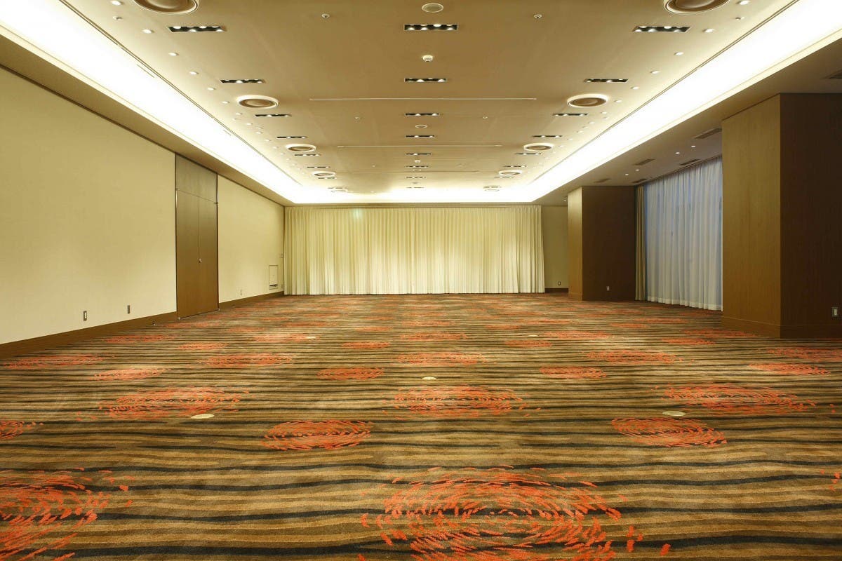 【京王プラザホテル（新宿）】グレースルームの写真3