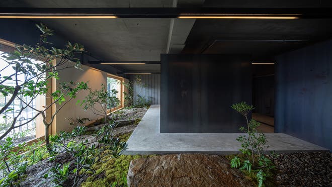 【城南区樋井川】建築家設計|自然光×室内庭園の静かな多目的空間の写真1