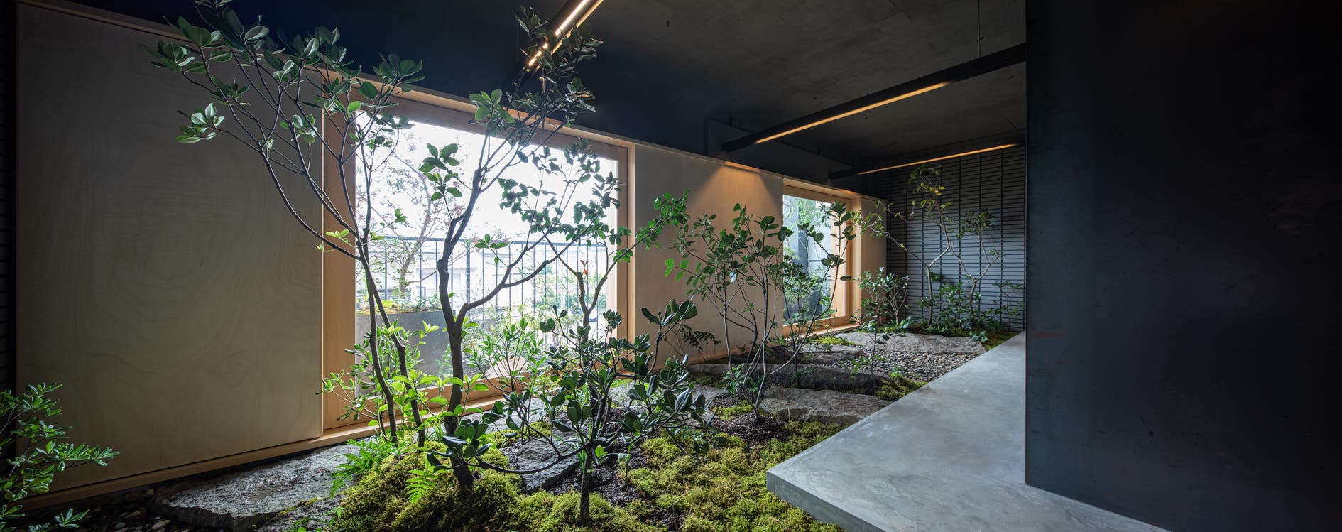 【城南区樋井川】建築家設計｜自然光×室内庭園の静かな多目的空間の写真5