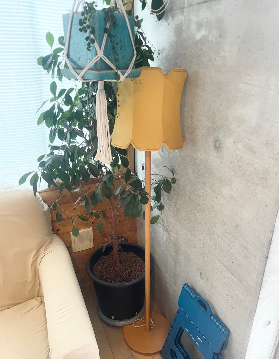 有料レンタルの画像1