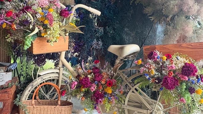 ペット撮影OK!ドライフラワーで装飾された異空間で撮影しませんか?の写真14