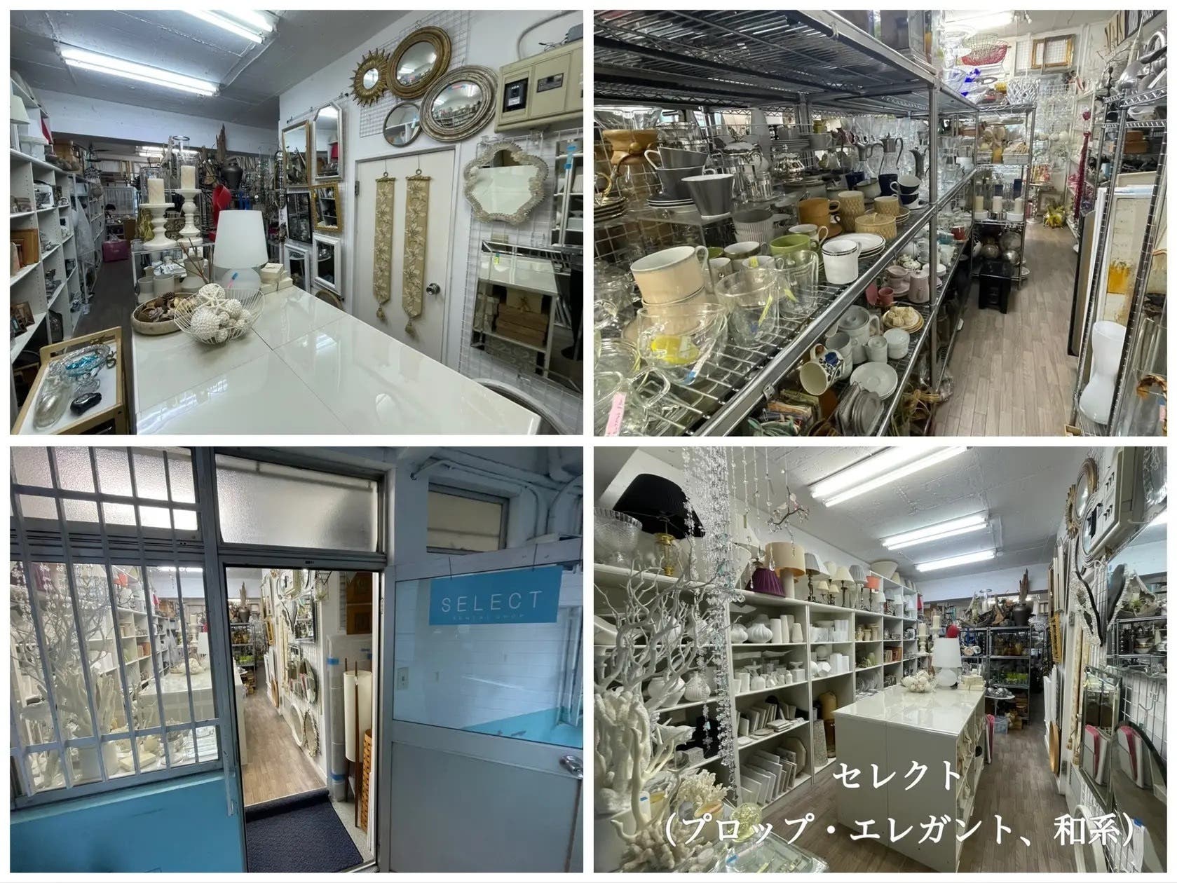 キッズ撮影OK🌼カメラ１台で本格的な撮影📷撮影実績多数✨搬入簡単・初台駅徒歩5分＆近隣駐車場多数[52]の写真28