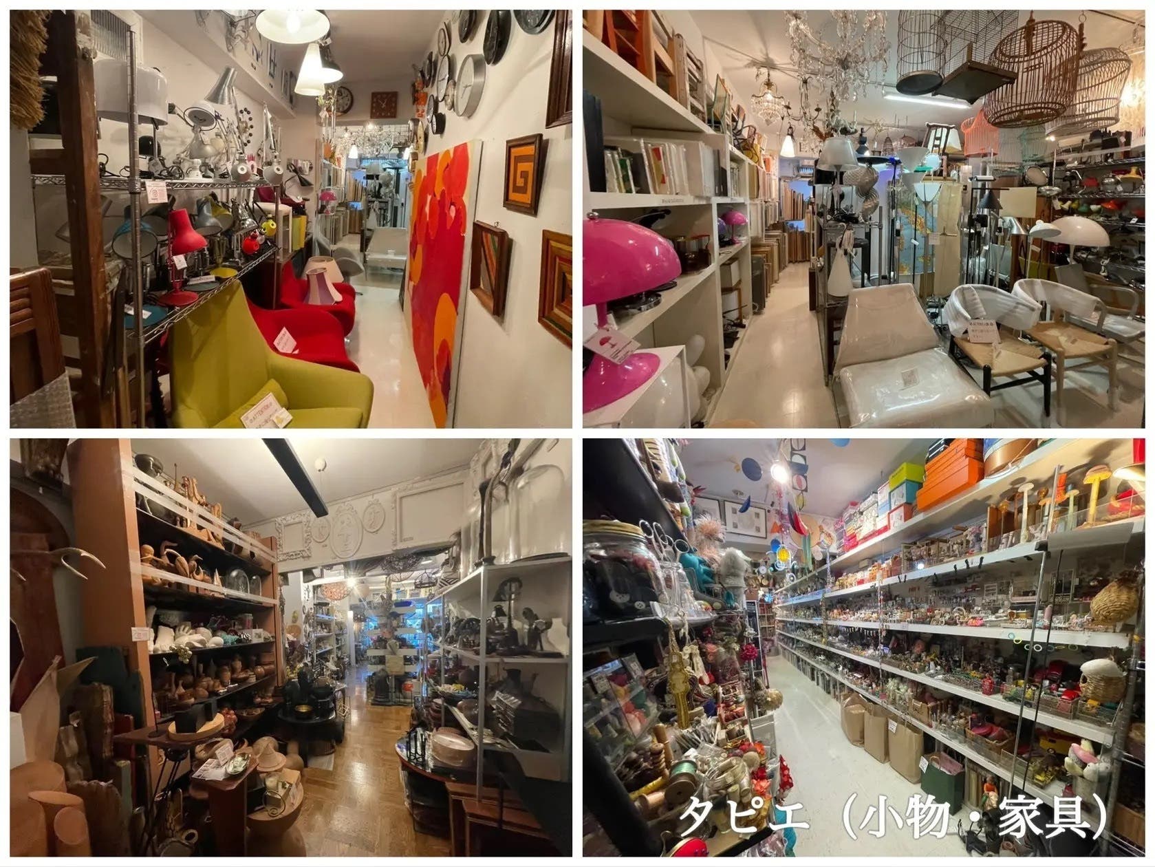 キッズ撮影OK🌼カメラ１台で本格的な撮影📷撮影実績多数✨搬入簡単・初台駅徒歩5分＆近隣駐車場多数[52]の写真27