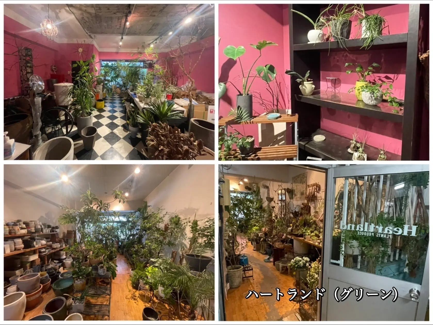 キッズ撮影OK🌼カメラ１台で本格的な撮影📷撮影実績多数✨搬入簡単・初台駅徒歩5分＆近隣駐車場多数[52]の写真26