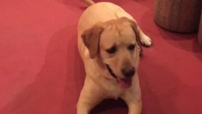 バーカウンター、テーブル、二次会などでも使いやすいお店です。の写真3