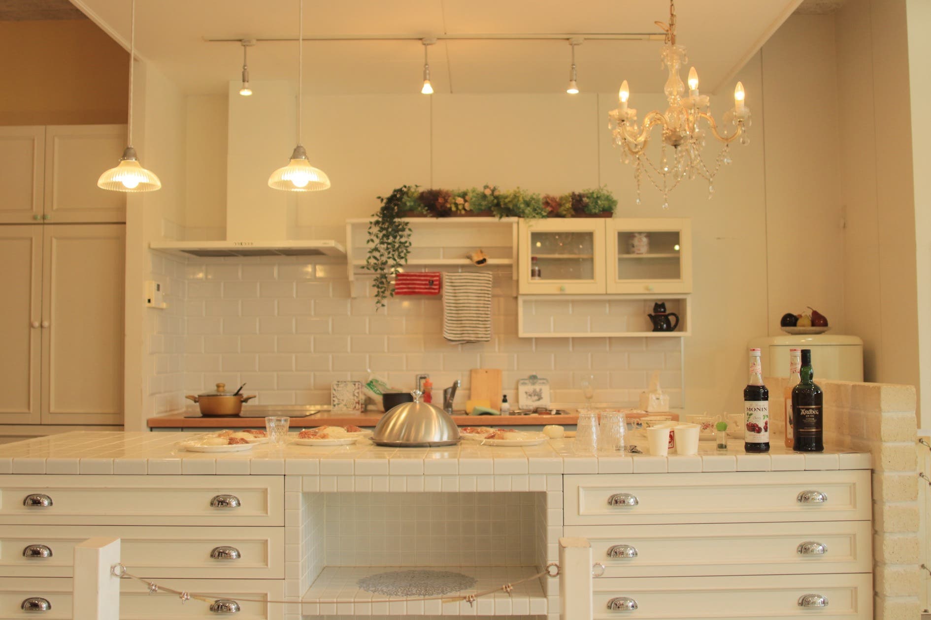 一宮市猿海道　レンタルスペース　ハグペットギャラリーの写真14