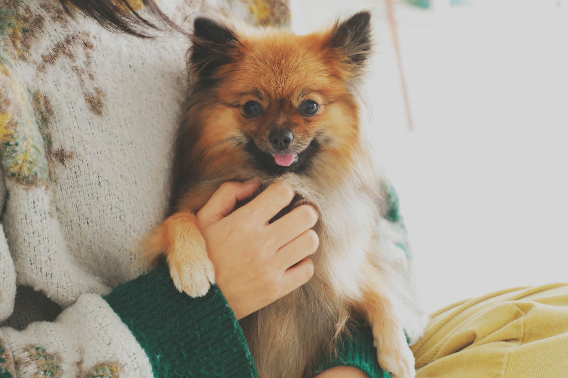 NEW OPEN 2025年⭐️初台駅から徒歩5分、新宿駅からも徒歩圏内！柔らかな光の白を基調としたスタジオ！の写真13