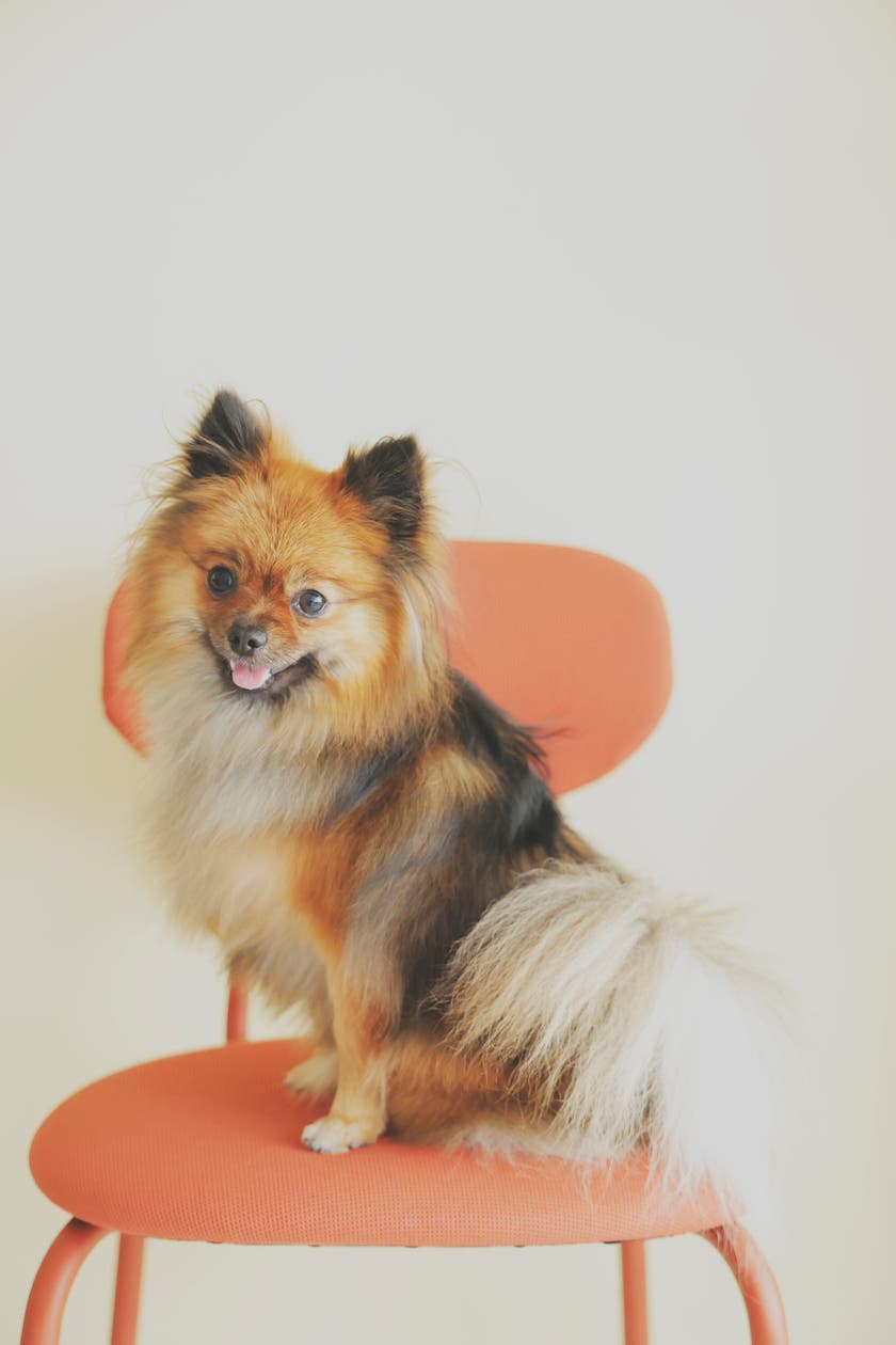 NEW OPEN 2025年⭐️初台駅から徒歩5分、新宿駅からも徒歩圏内！柔らかな光の白を基調としたスタジオ！の写真14