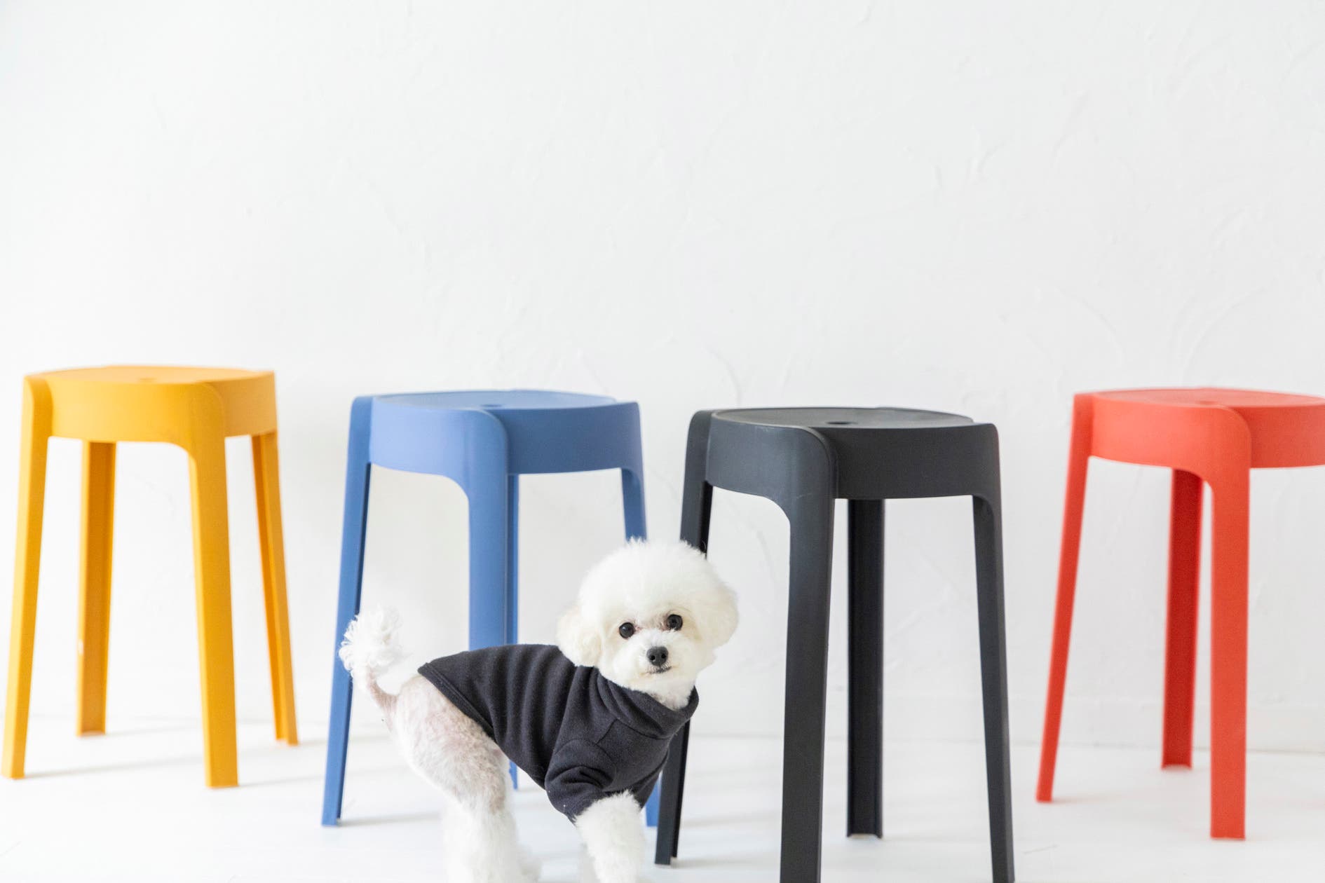 NEW OPEN 2025年⭐️初台駅から徒歩5分、新宿駅からも徒歩圏内！柔らかな光の白を基調としたスタジオ！の写真16