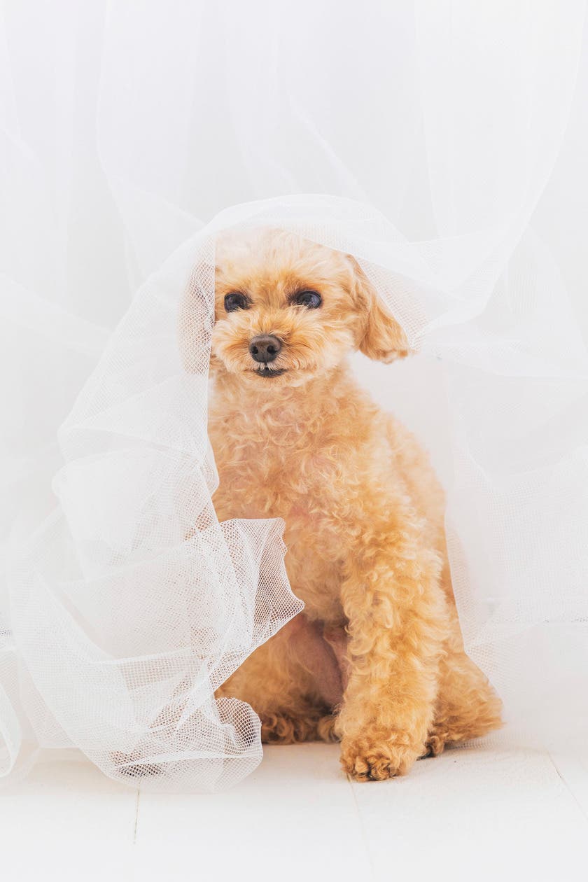 NEW OPEN 2025年⭐️初台駅から徒歩5分、新宿駅からも徒歩圏内！柔らかな光の白を基調としたスタジオ！の写真15