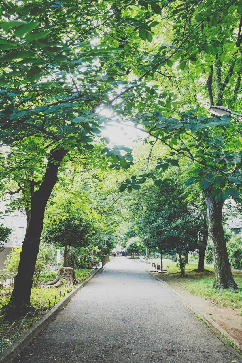 NEW OPEN 2025年⭐️初台駅から徒歩5分、新宿駅からも徒歩圏内！柔らかな光の白を基調としたスタジオ！の写真17