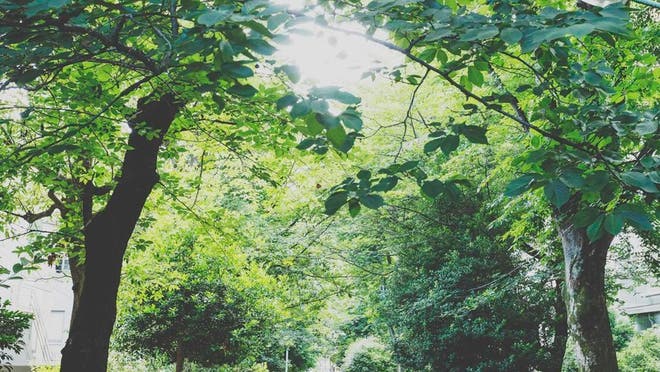 NEW OPEN 2025年⭐️初台駅から徒歩5分、新宿駅からも徒歩圏内!柔らかな光の白を基調としたスタジオ!の写真17