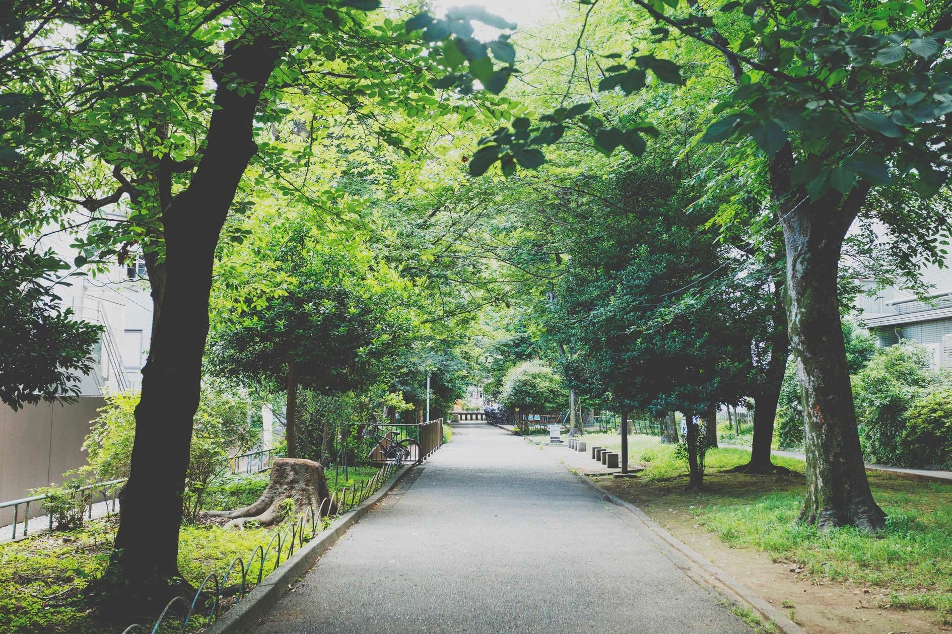 NEW OPEN 2025年⭐️初台駅から徒歩5分、新宿駅からも徒歩圏内！柔らかな光の白を基調としたスタジオ！の写真18